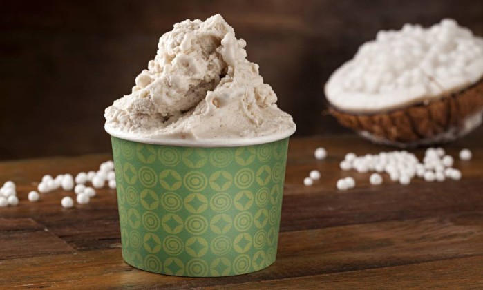 Gastronomia | Sorvete de Tapioca Vegana - Blog da Carola Duarte